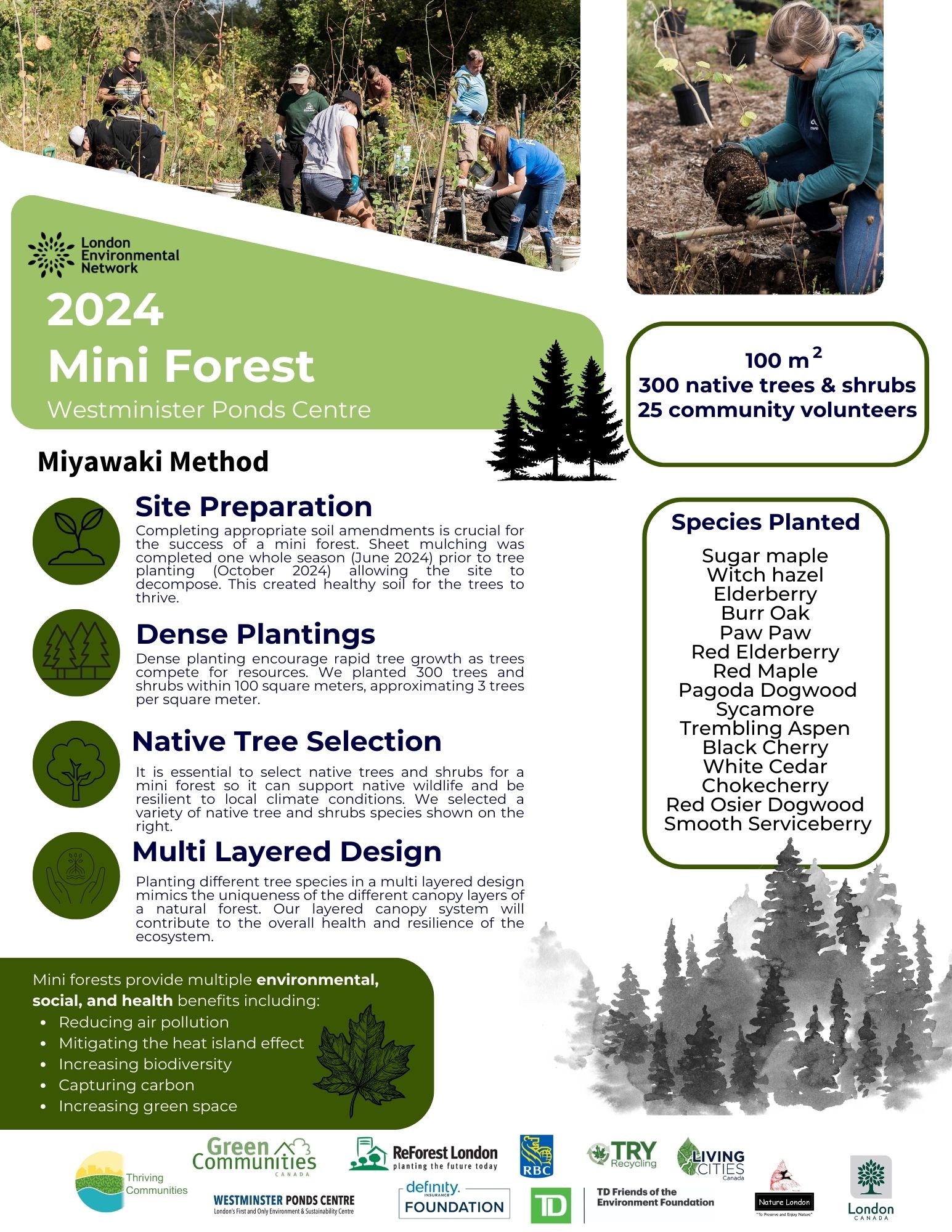 Mini Forest - London Environmental Network