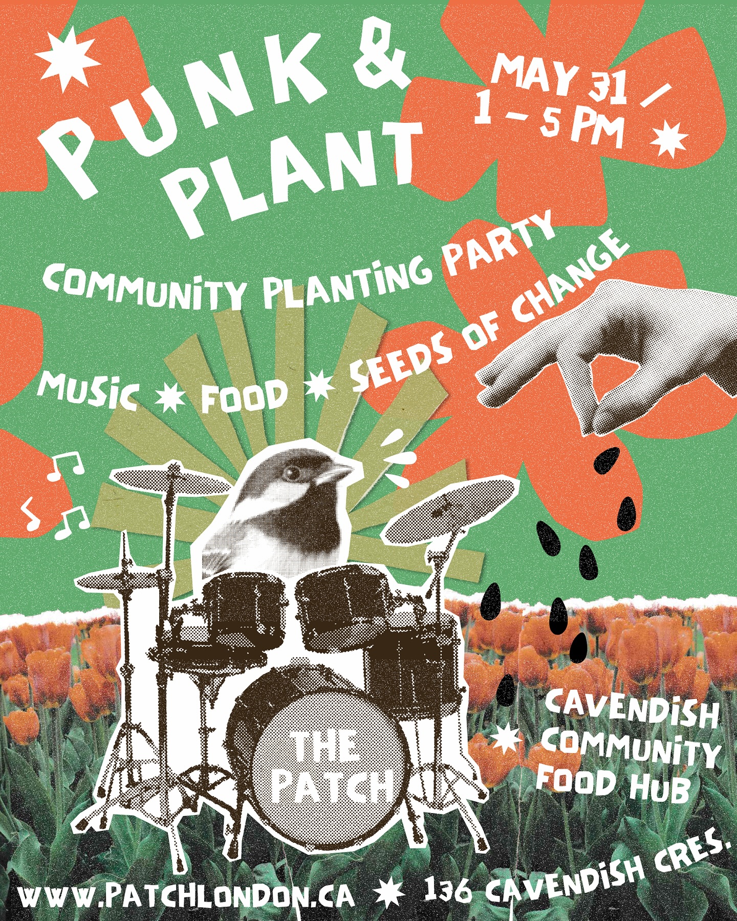 London Environmental Network