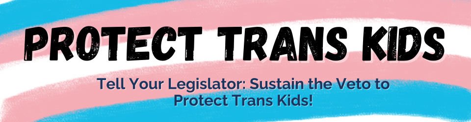 Protect Trans Kids