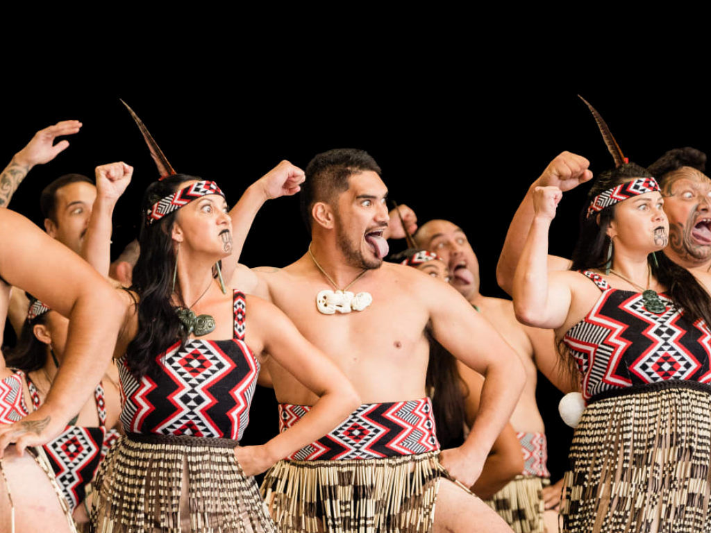 Policy - Te Pāti Māori