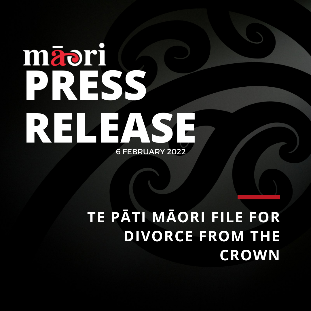 Te Pāti Māori is the assertion of our mana motuhake and our liberation