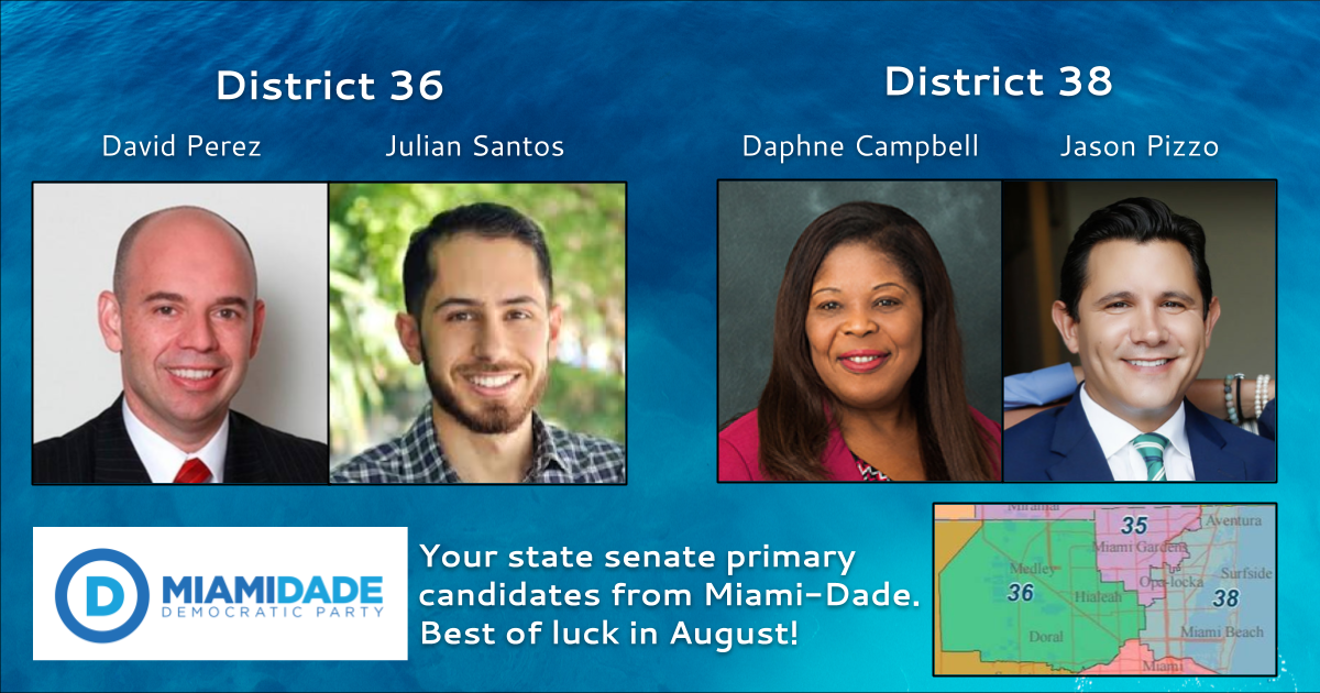 Florida Democrats Field Record Number of Candidates