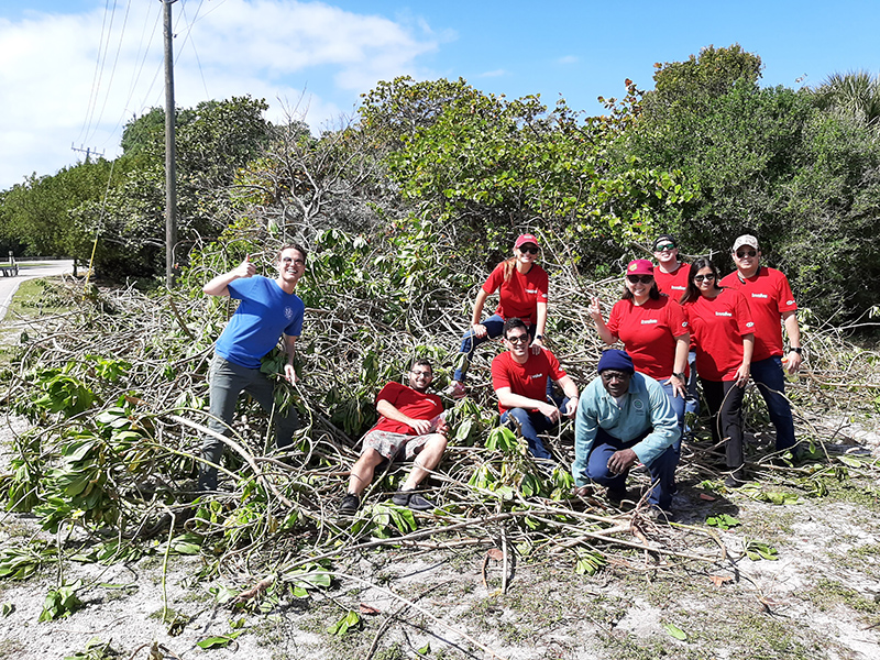 Intensive Invasive Species Removal at Virginia Key with HSBC - Miami ...