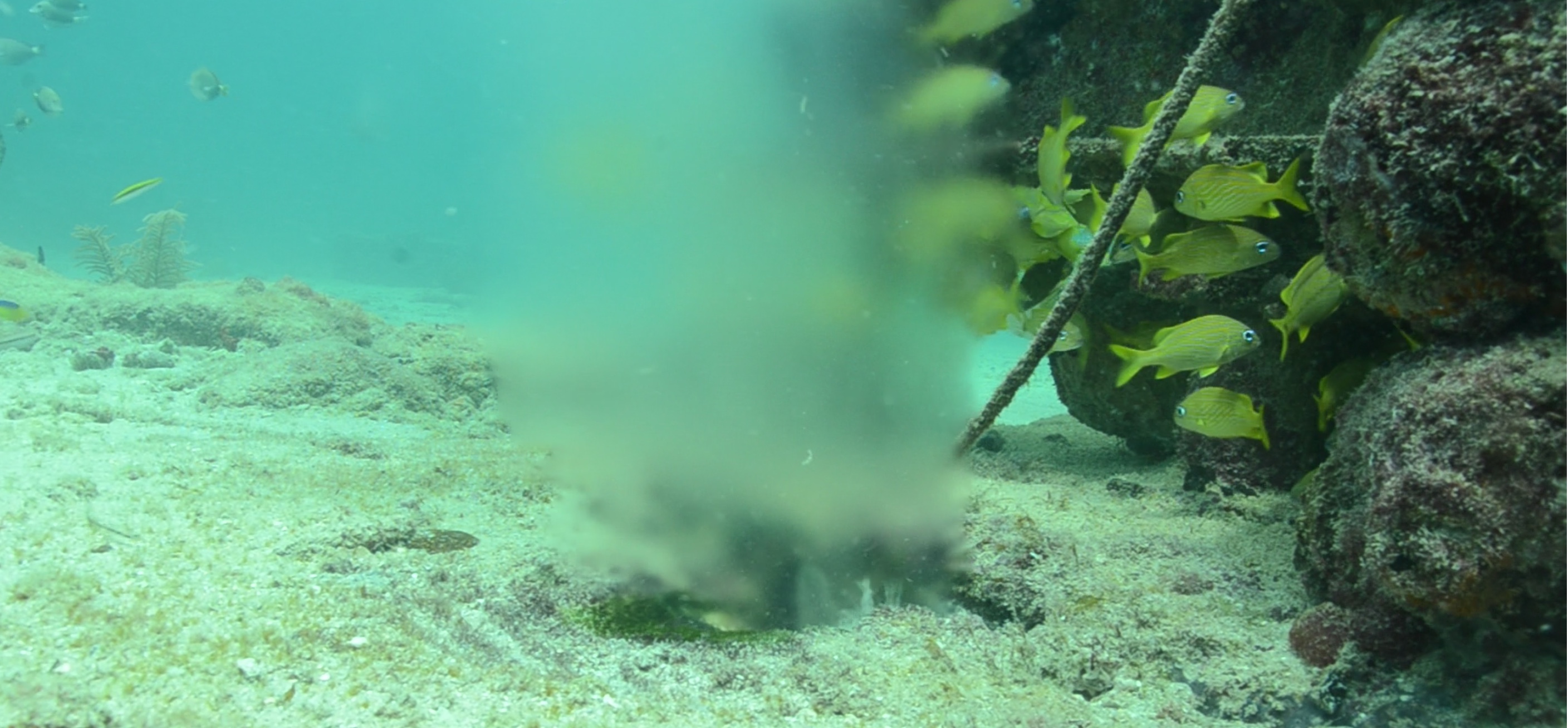 Sewage - Miami Waterkeeper