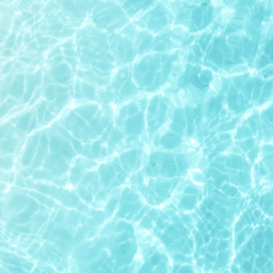 Campaign to Stop Killer Robots Summer Recap - Mines Action Canada