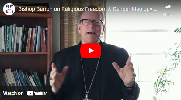 Bishop Barron on Religious Freedom and Gender Ideology in Minnesota ...