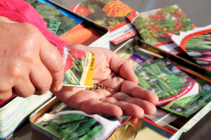 Down to earth • This week at the library - Menlo Park Library Foundation