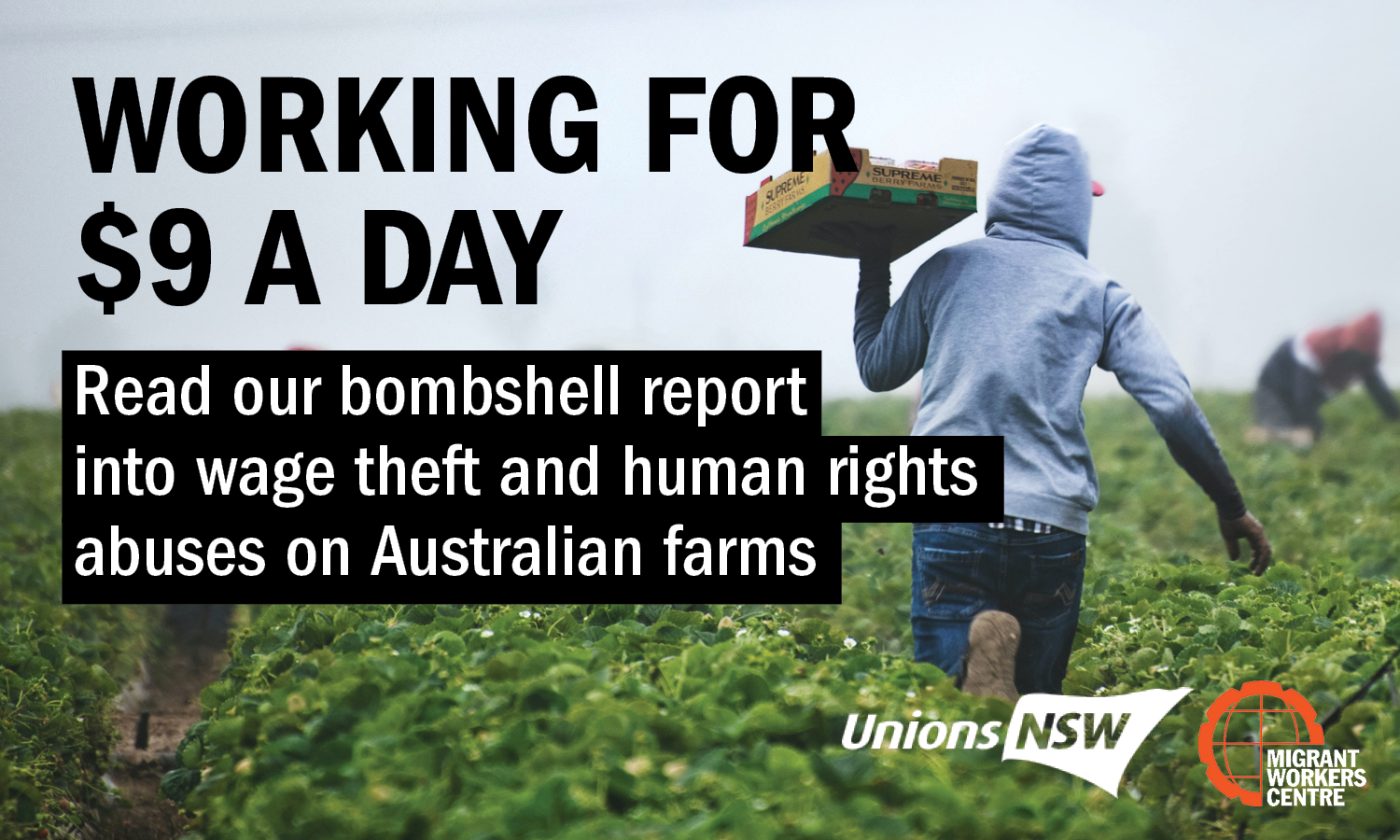 Working for $9 a Day - Migrant Workers Centre