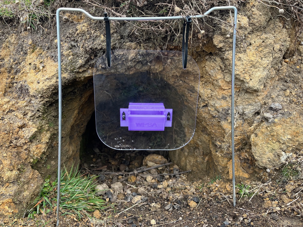 February Member Group Spotlight: Wombat Protection Society - Nature ...