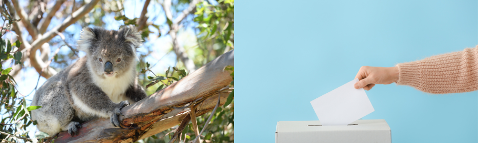 2025 Federal Election Scorecard - Nature Conservation Council of NSW