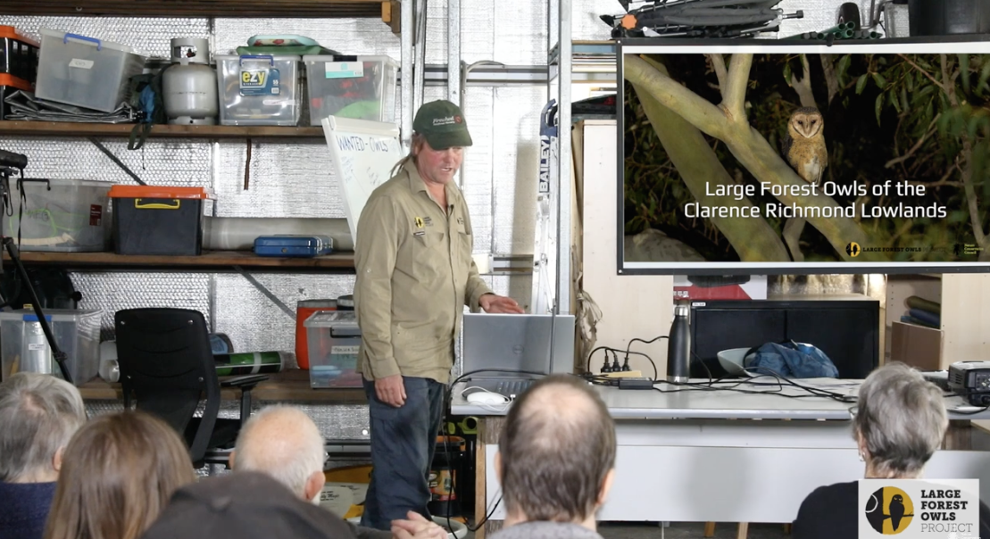 Large Forest Owls of the Richmond and Clarence - Nature Conservation ...