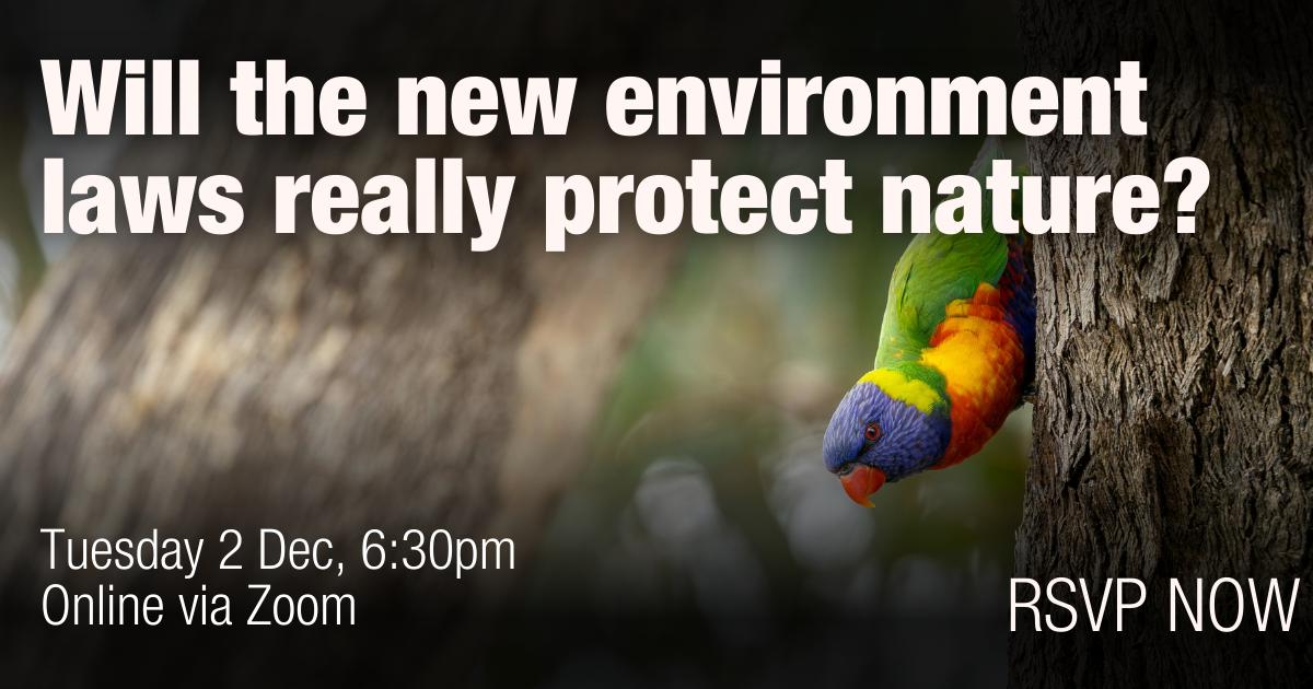 Will the new environment laws really protect nature? - Nature ...
