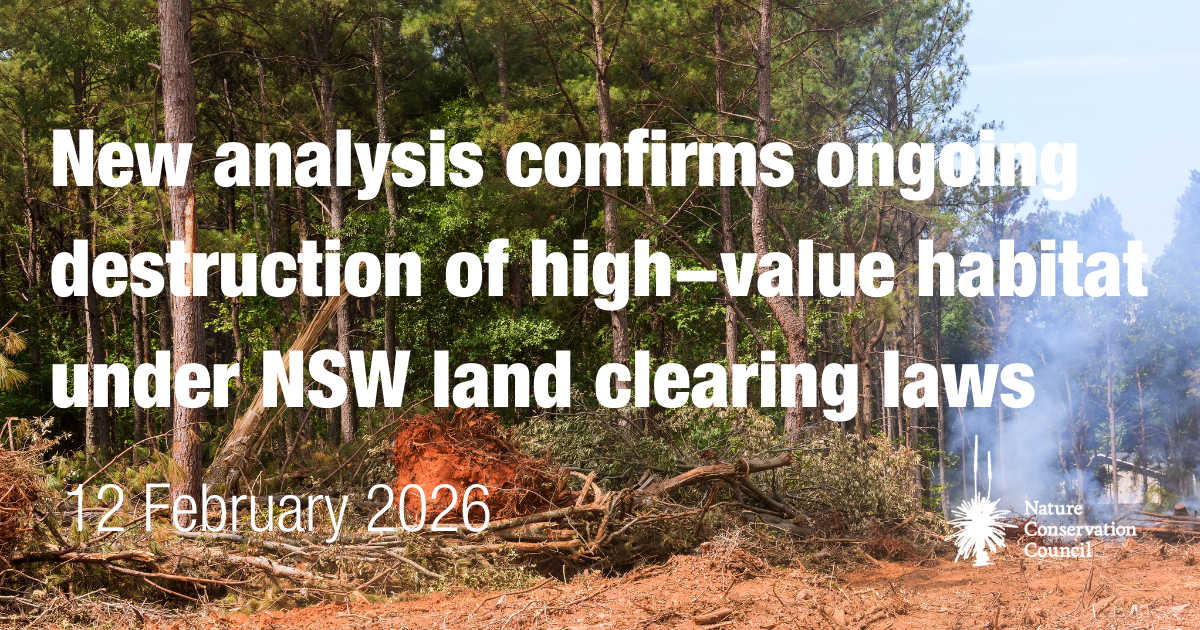 New analysis confirms ongoing destruction of high-value habitat under ...