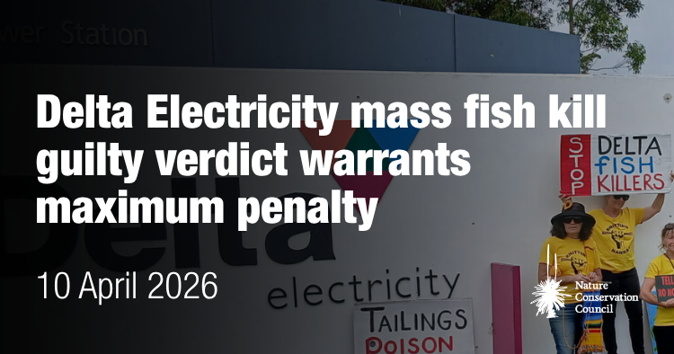 Delta Electricity mass fish kill guilty verdict warrants maximum ...