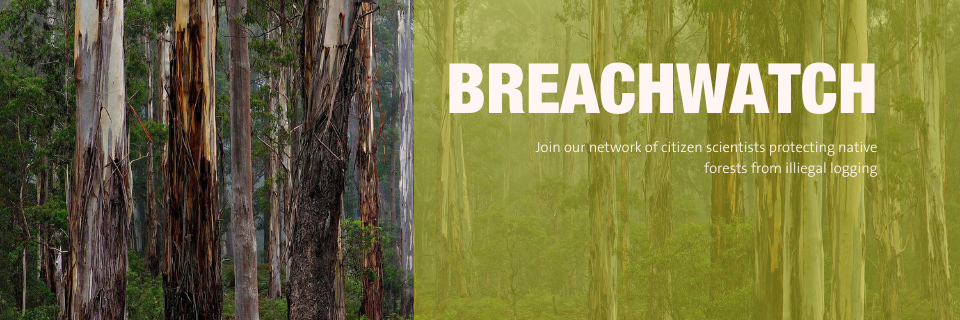 Nature Conservation Council of NSW