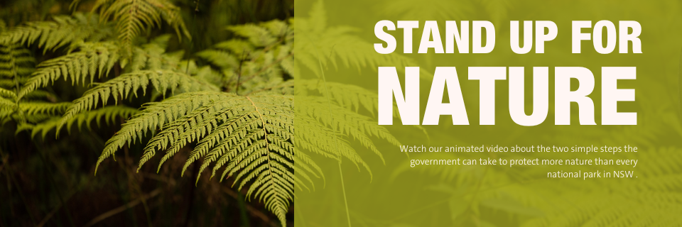 Nature Conservation Council of NSW