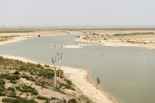 Menindee Lakes: site of massive fish-kill still being mismanaged ...