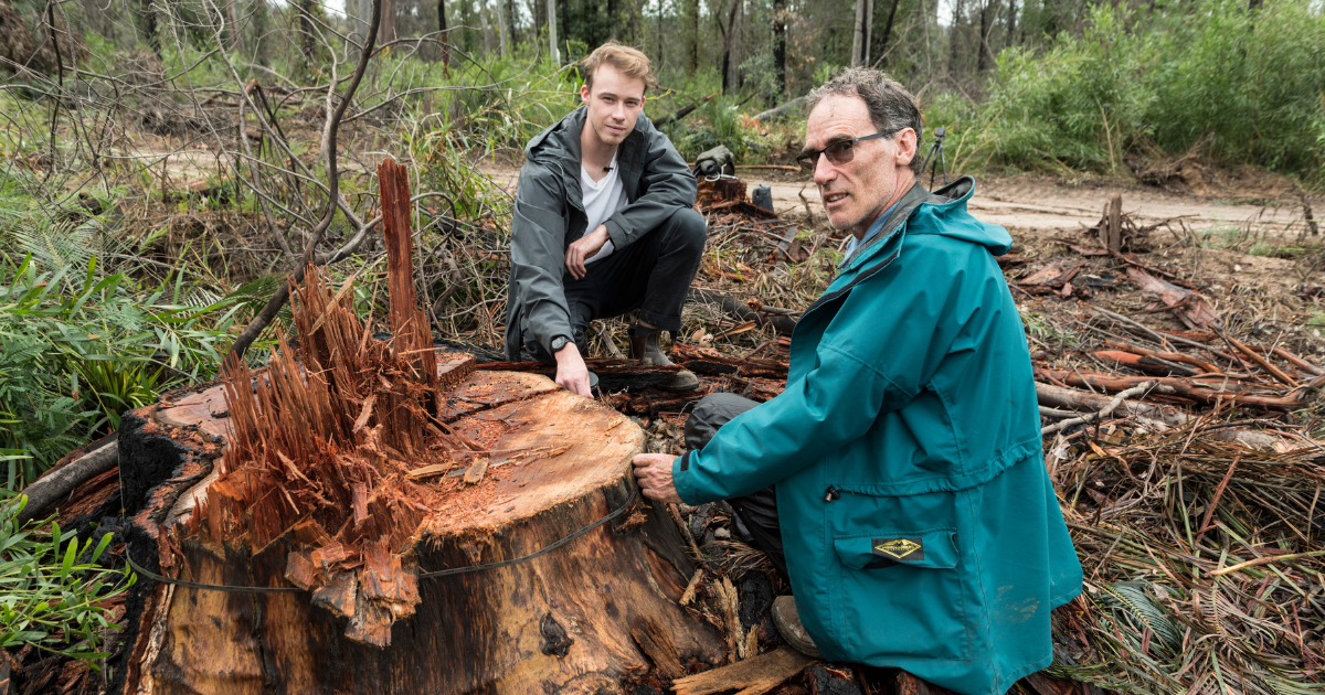 Breach Watch Program - Nature Conservation Council of NSW