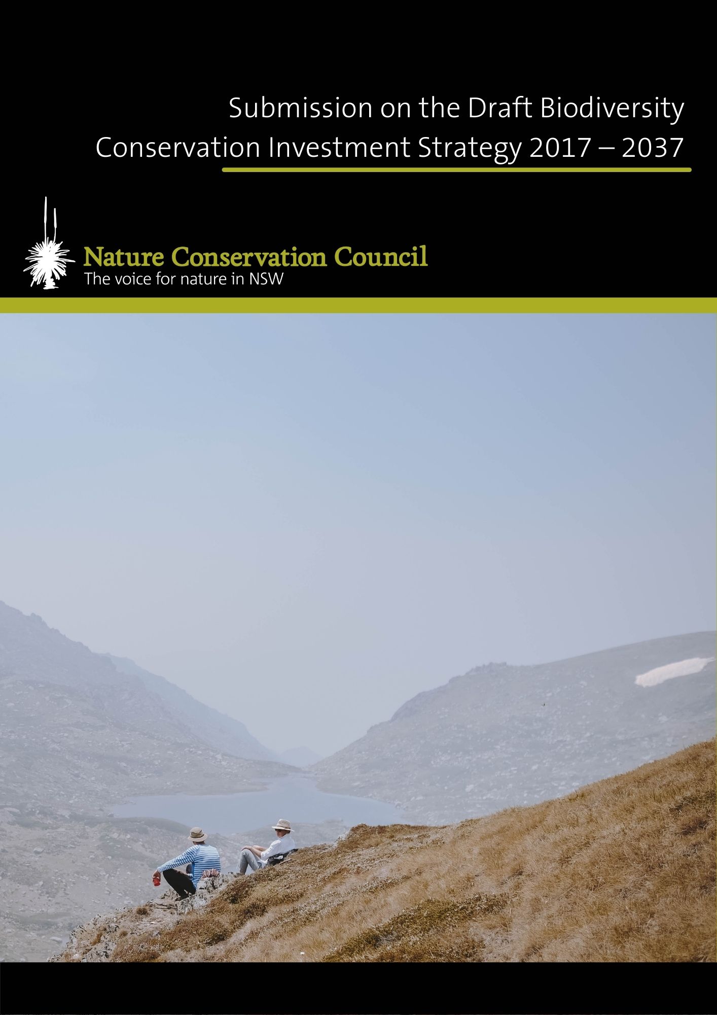 Submission on the Draft Biodiversity Conservation Investment Strategy ...