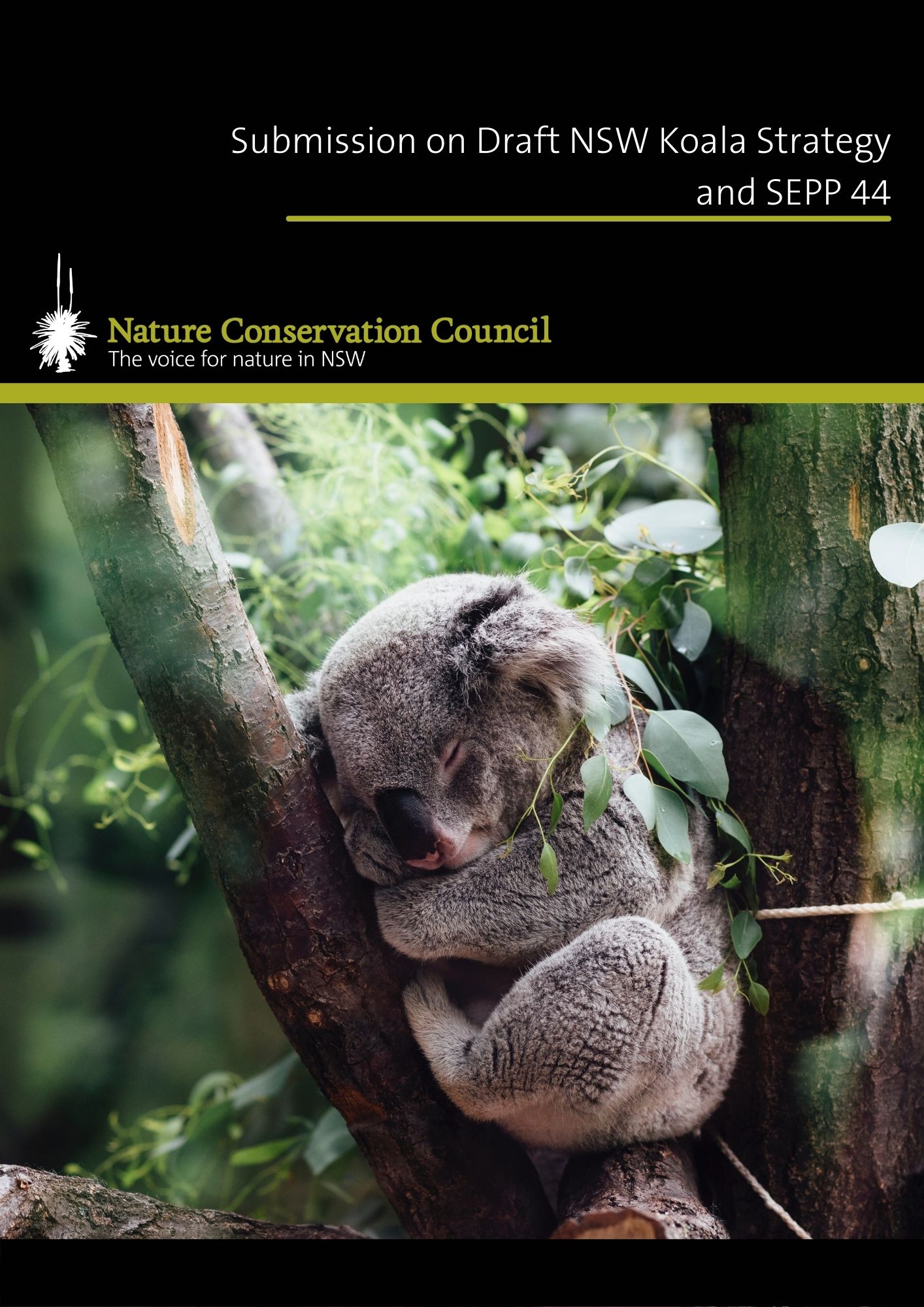 Submission on Draft NSW Koala Strategy and SEPP 44 - NCC - Nature ...