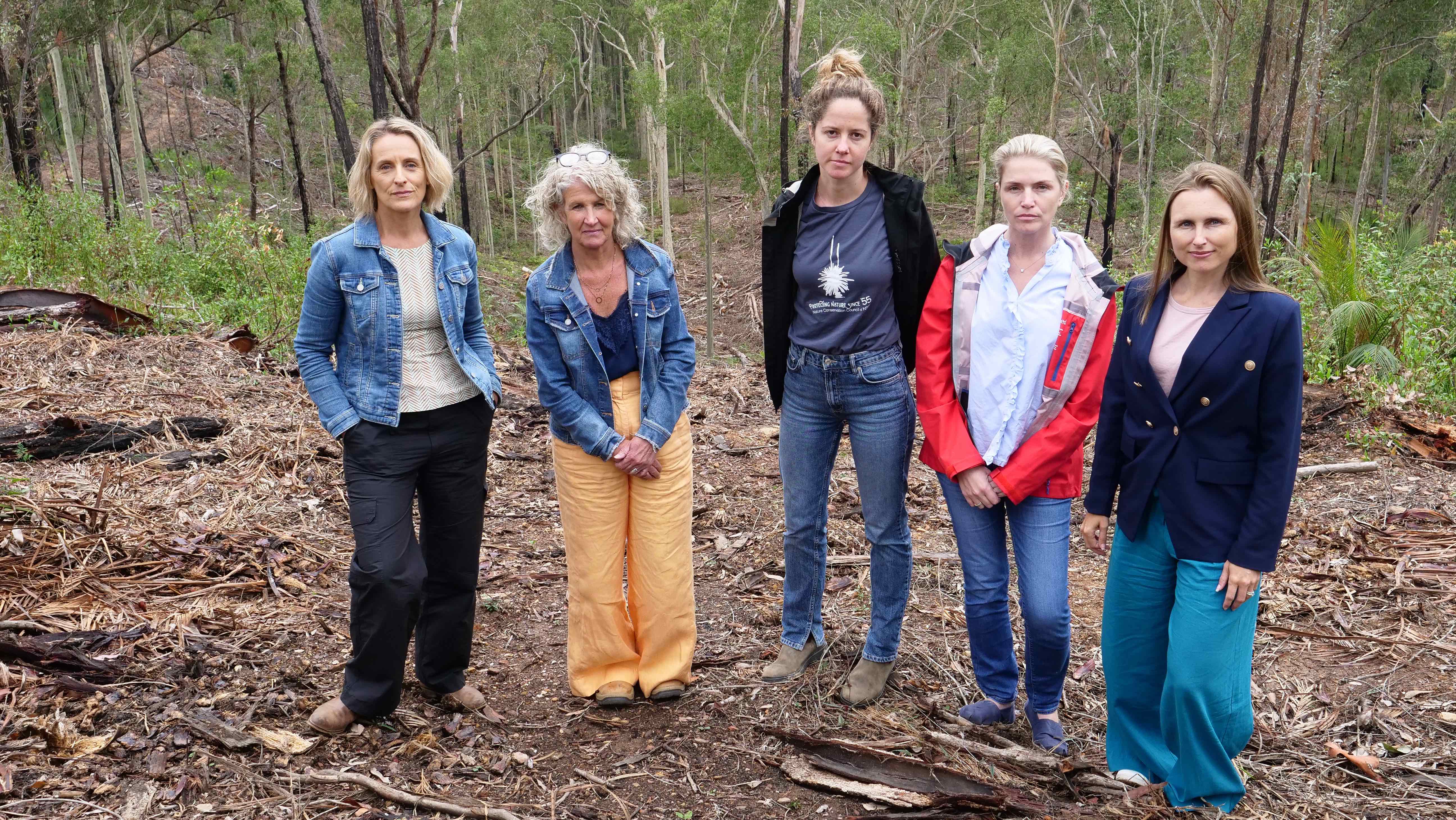 MPs and state election candidates see forest logging first hand ...