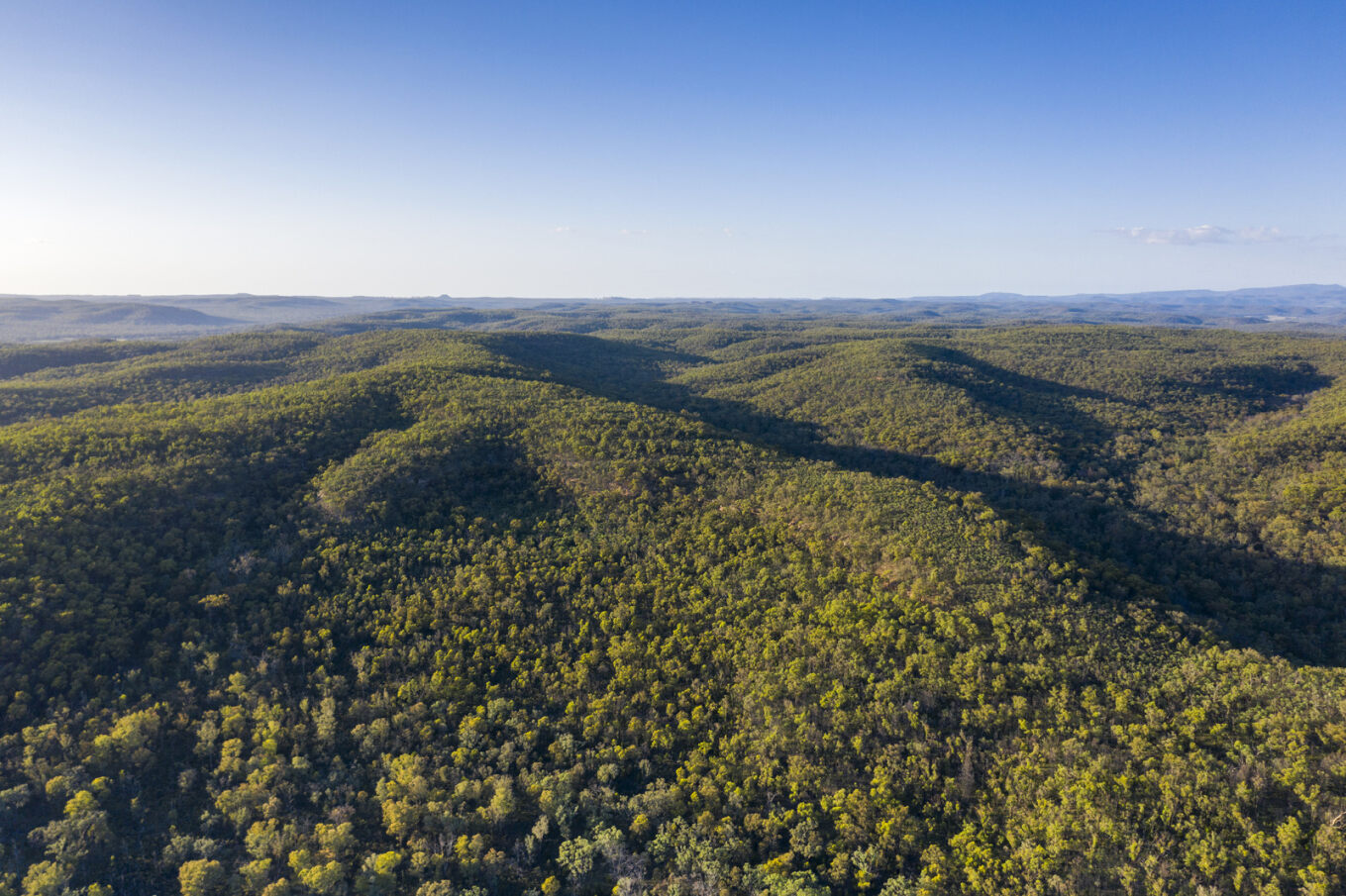 Updates from the Pilliga - Nature Conservation Council of NSW