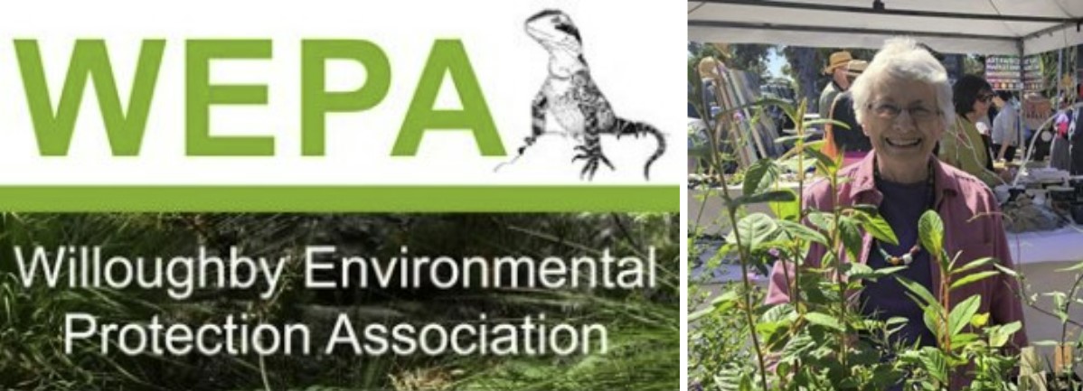 Member Group Spotlight: WEPA - Willoughby Environmental Protection ...