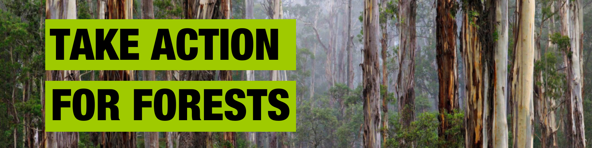 Submission to Forestry Industry Action Plan - Nature Conservation ...