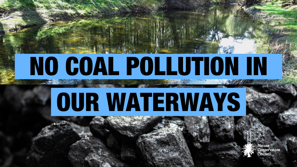 Protect Sydney’s drinking water from Centennial Coal’s toxic waste ...