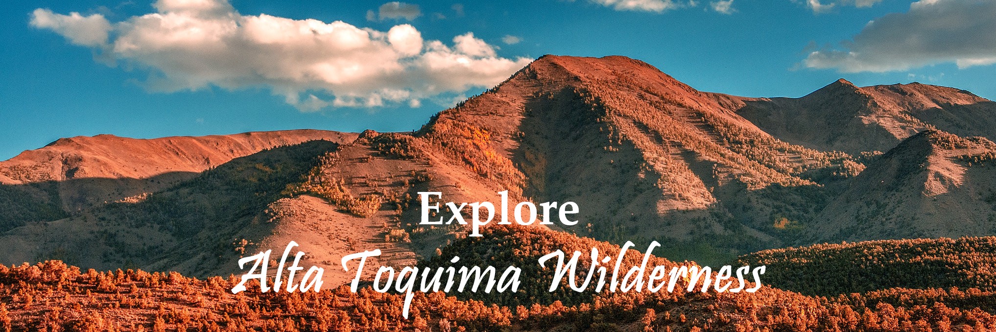 Friends of Nevada Wilderness