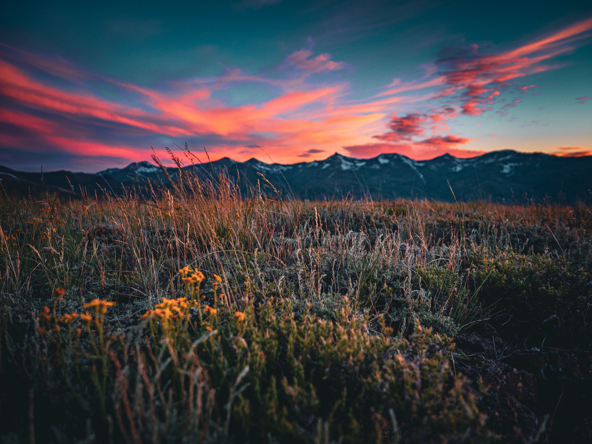 What Is Wilderness?: 2024 Edition - Friends of Nevada Wilderness