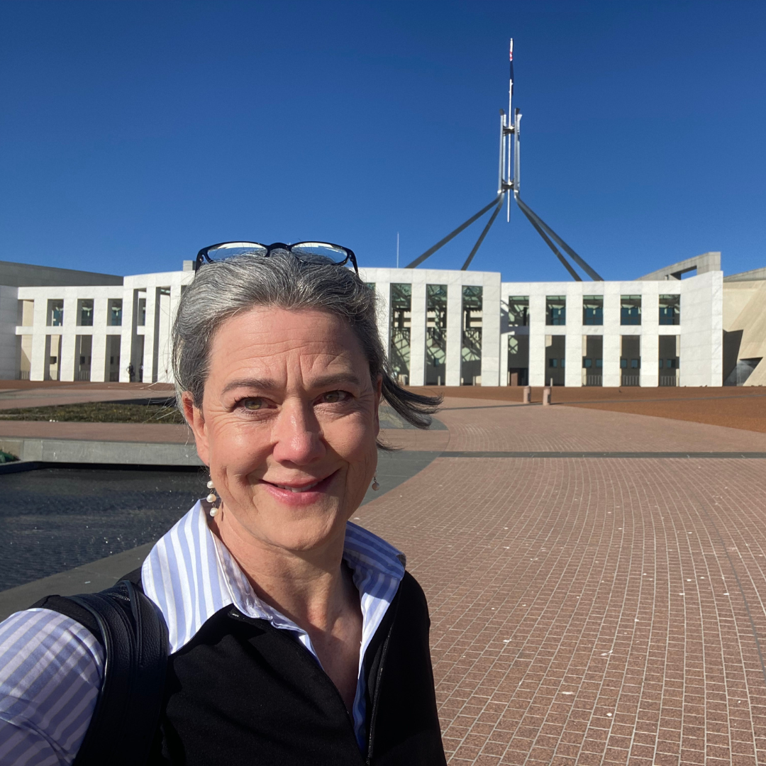 Submission | Access to APH by lobbyists - NEW CLONE - Nicolette Boele