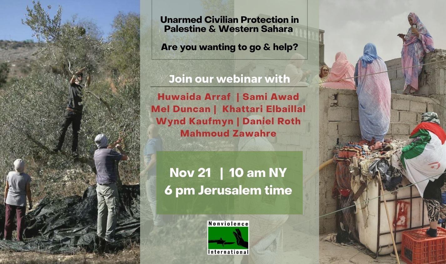 THE FUTURE OF UNARMED CIVILIAN PROTECTION IN PALESTINE AND WESTERN ...
