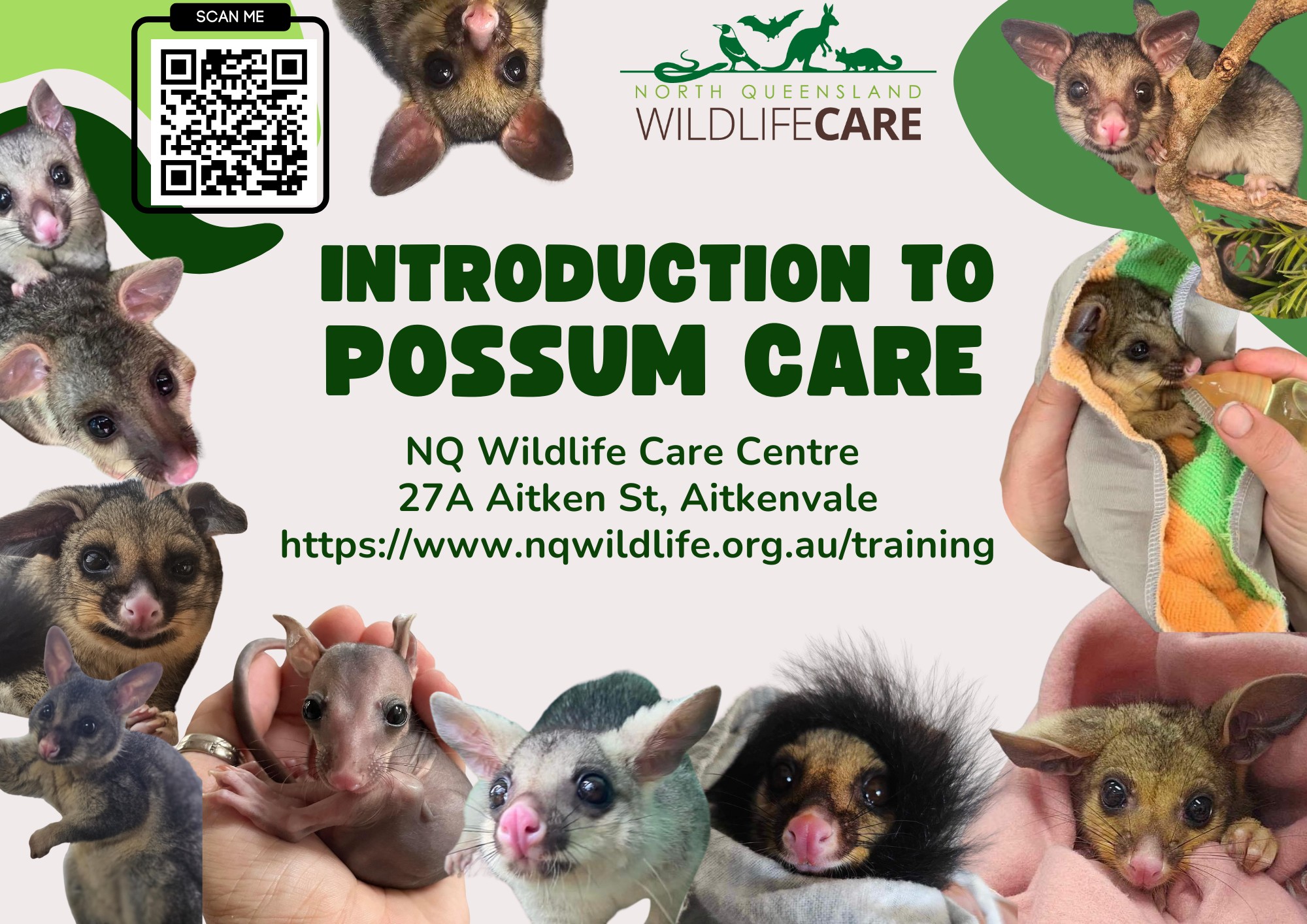 Introduction to Possum Care - NQ Wildlife Care