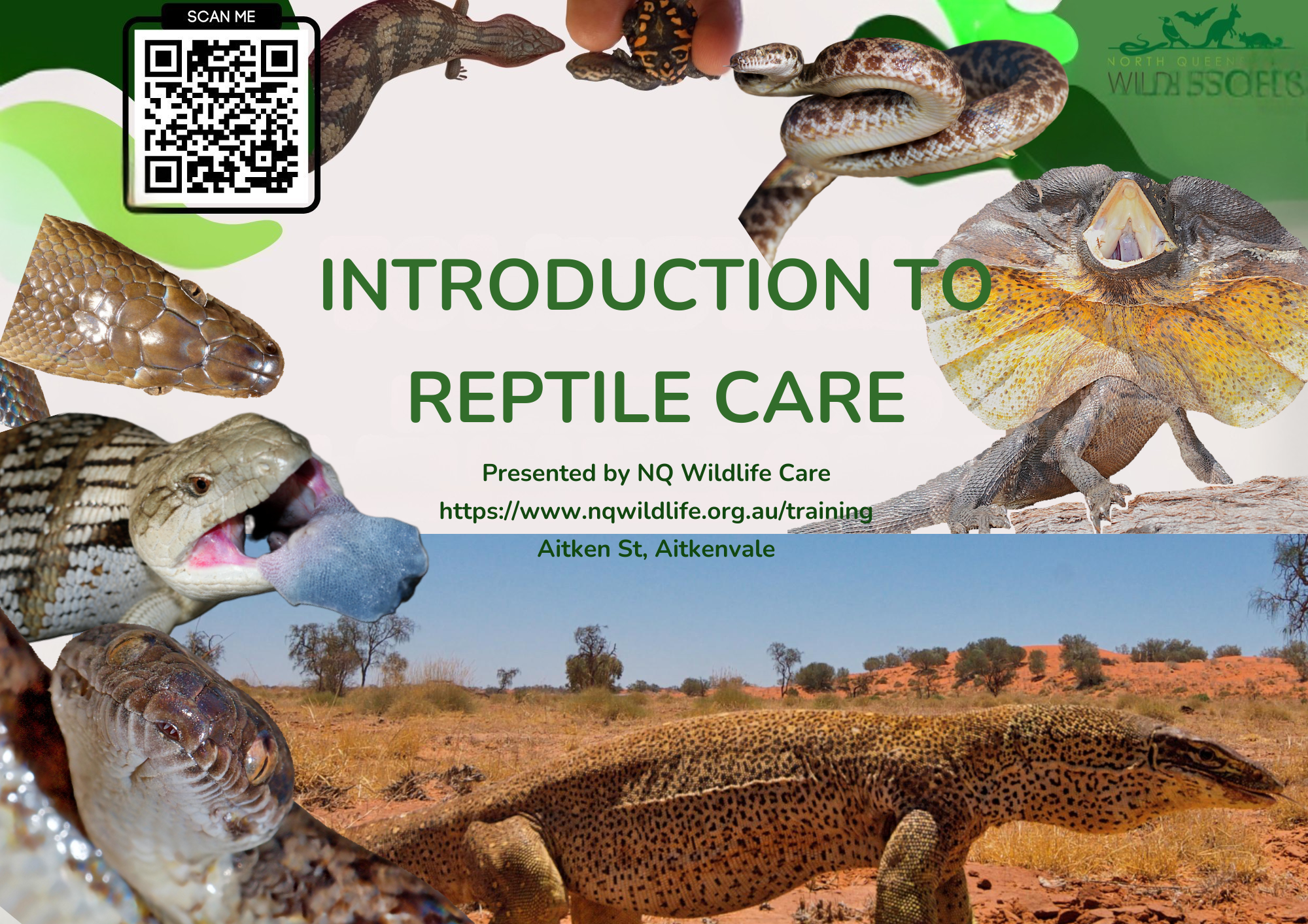 Introduction to Native Reptile Care - NQ Wildlife Care