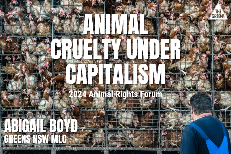 Animal Cruelty Under Capitalism — 2024 Animal Rights Forum - Abigail Boyd MP
