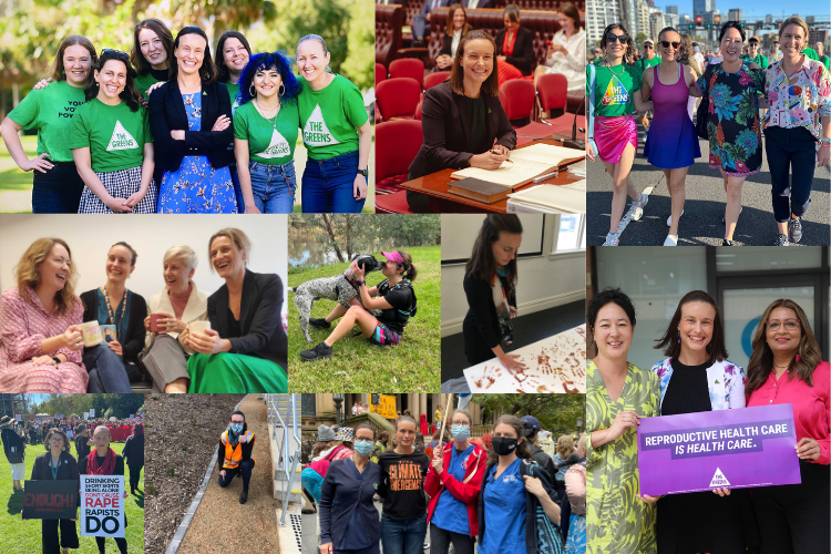 About - Dr Amanda Cohn Greens MP