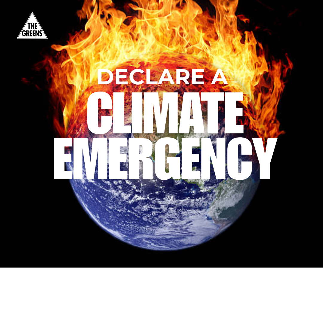 Declare a Climate Emergency! - Sue Higginson MLC