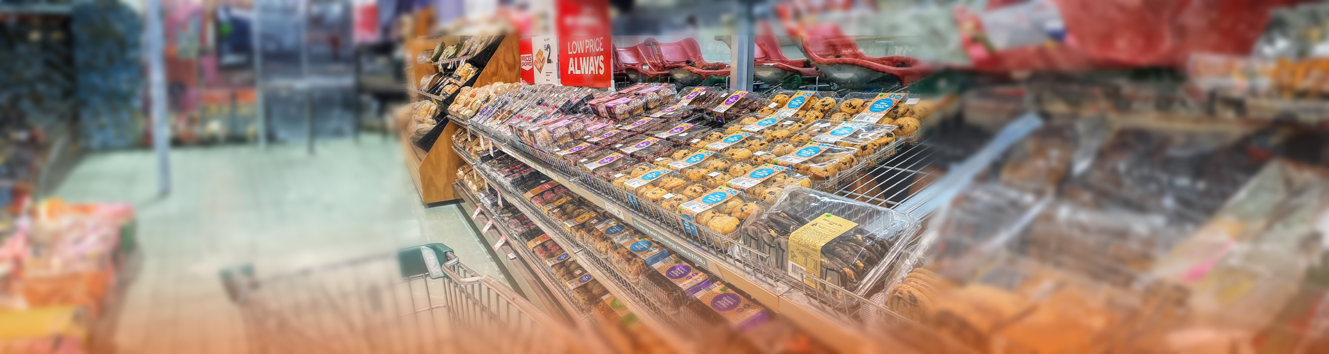 Cost of Living - One Nation New South Wales