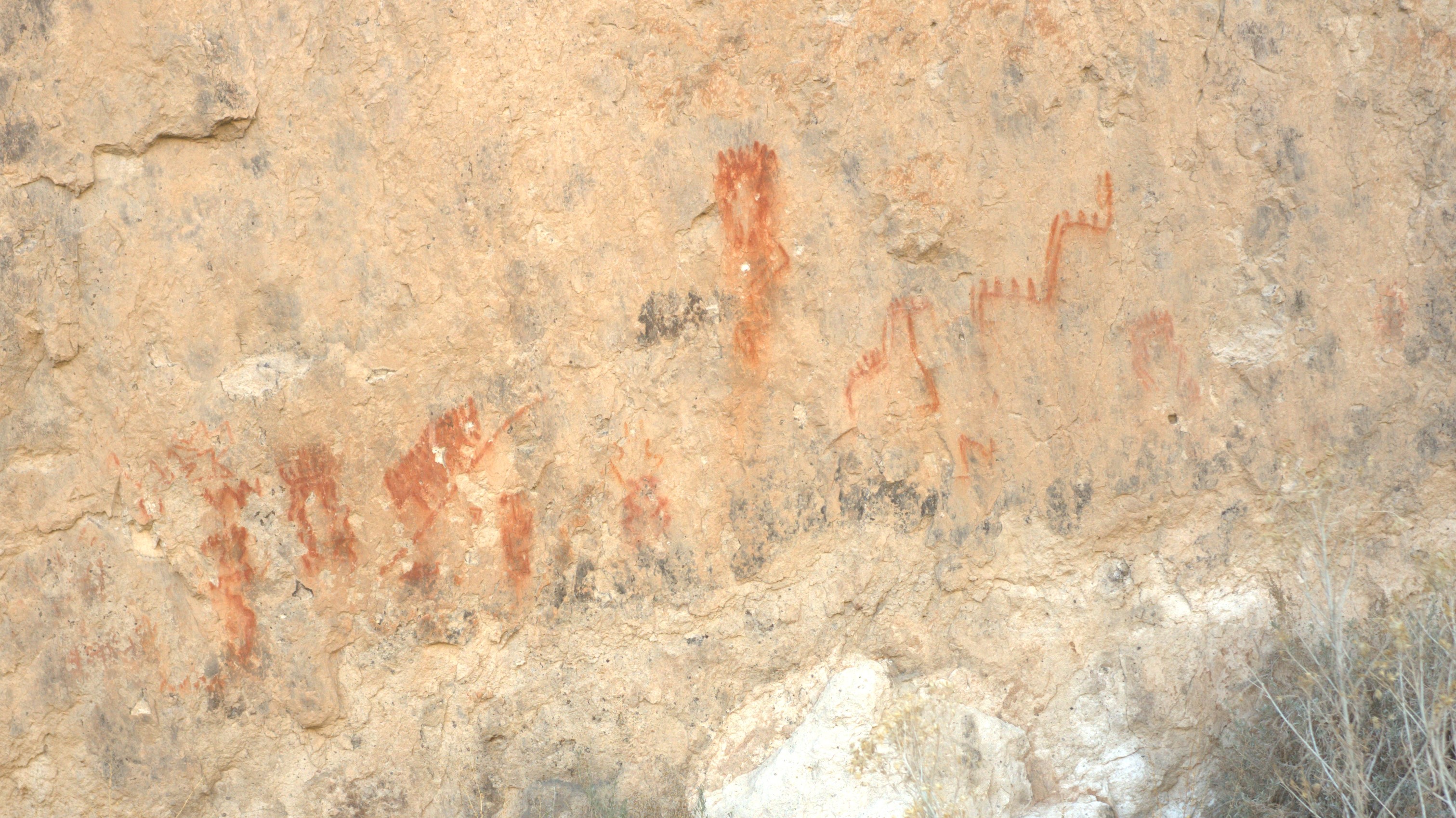 Activity - Nevadans for Cultural Preservation