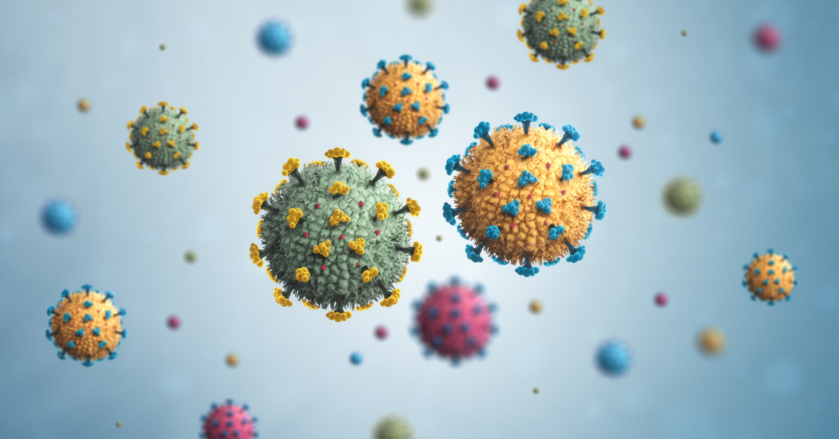 Whangarei Policy Announcements - New Zealand First