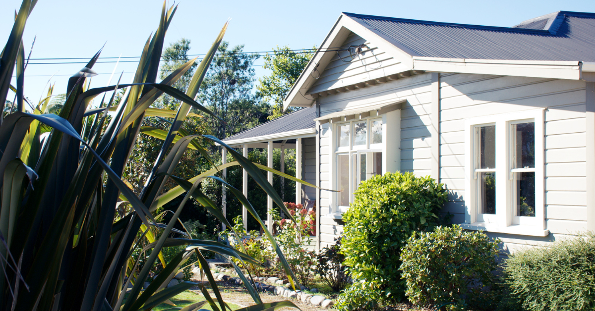 KIWI HOUSING FOR KIWIS - NZ First