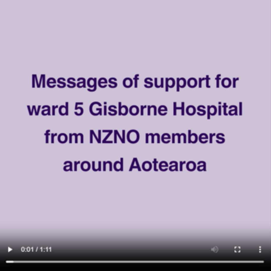 Gisborne Health and Safety Strike - Maranga Mai