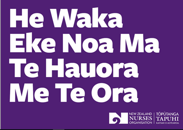 He Waka Eke Noa Poster - DHB MECA