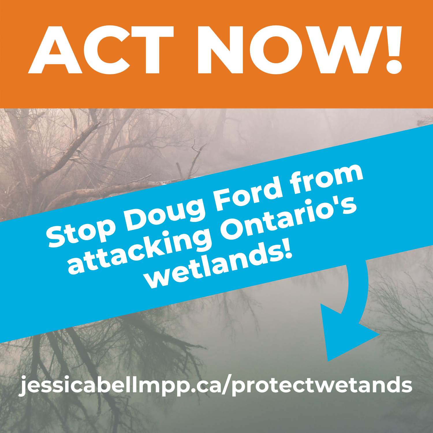 ACT NOW: Stop Doug Ford's on Wetlands - Jessica Bell