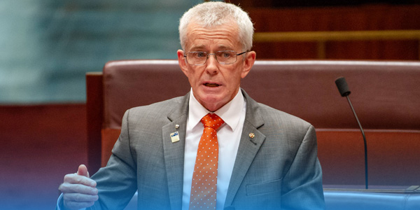 One Nation senator weighs in on economic policies, slams major parties ...