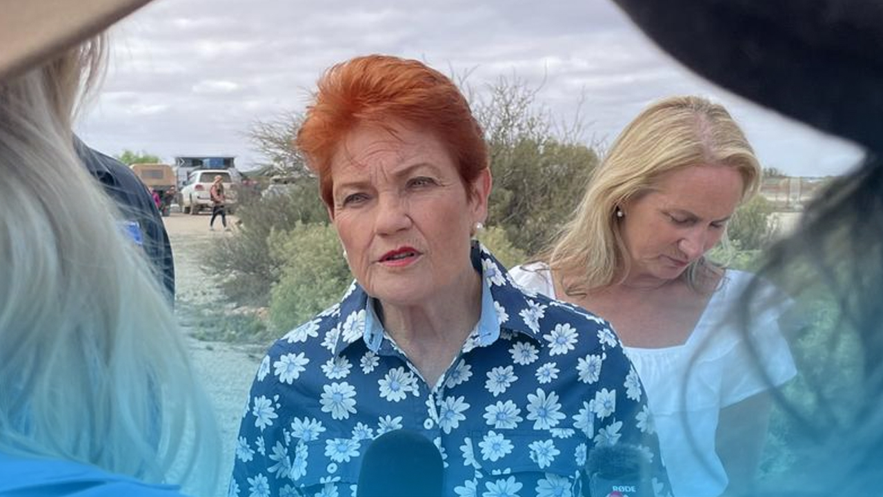 One Nation leader Pauline Hanson claims SA’s Sarah Game quit party amid ...
