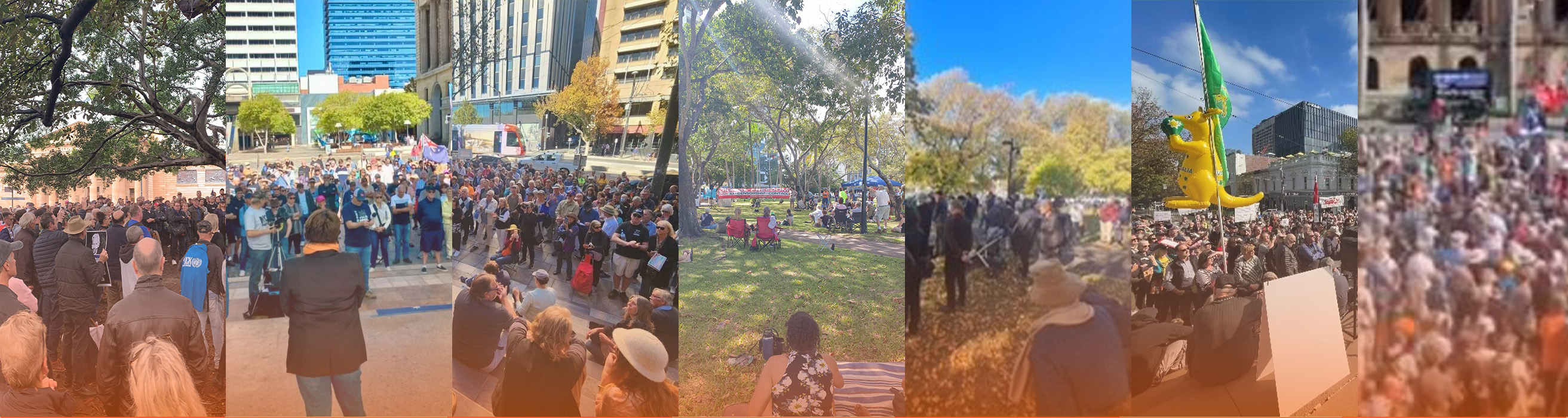 RALLY SUCCESS - Pauline Hanson's One Nation