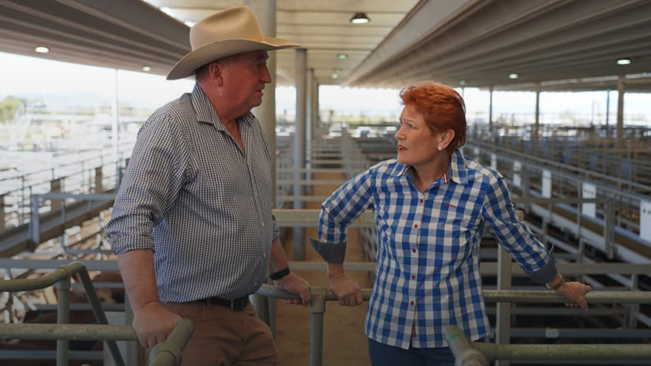 Barnaby Joyce Welcome to the Party - Pauline Hanson's One Nation