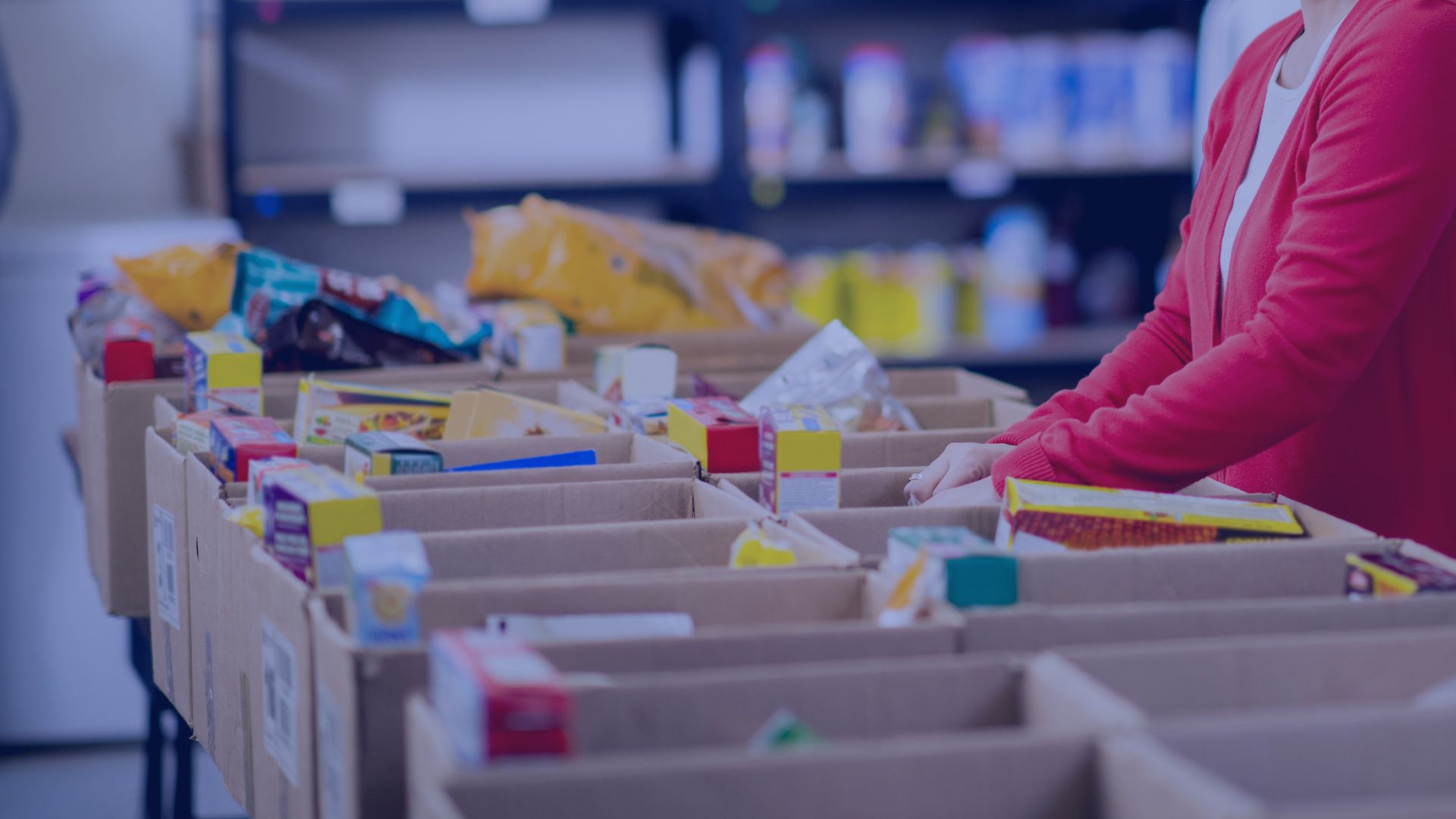 Increased Food Bank Usage Demonstrates need for Fulsome Poverty ...